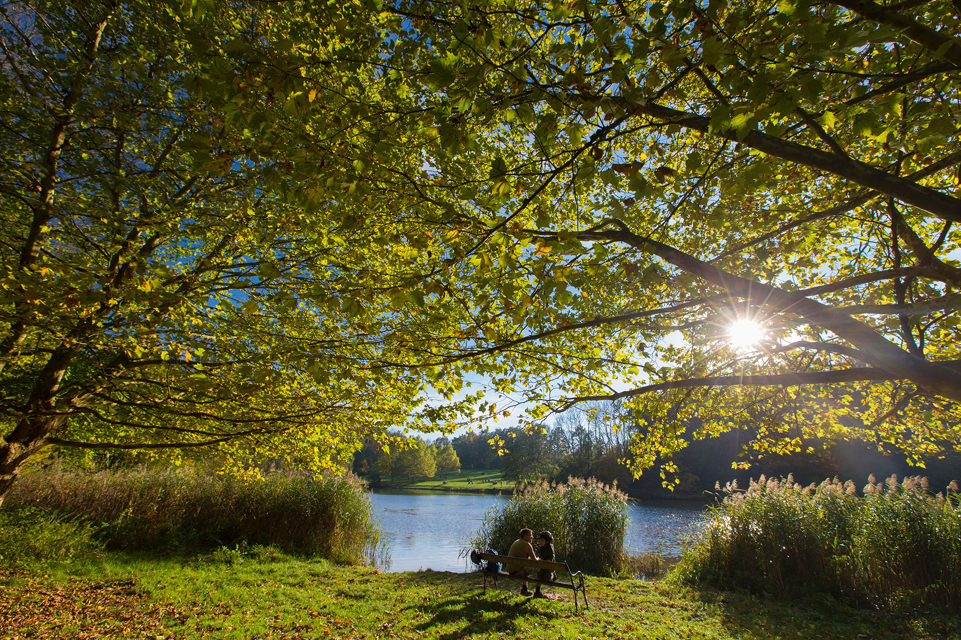 Umwelt & Wohnen | Marktgemeinde Thal
