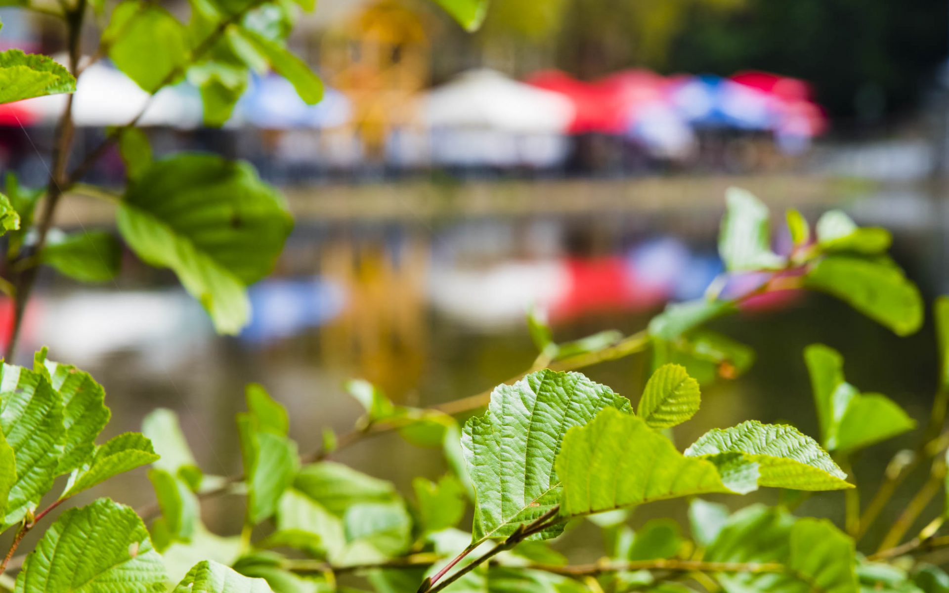 Gastronomie | Marktgemeinde Thal